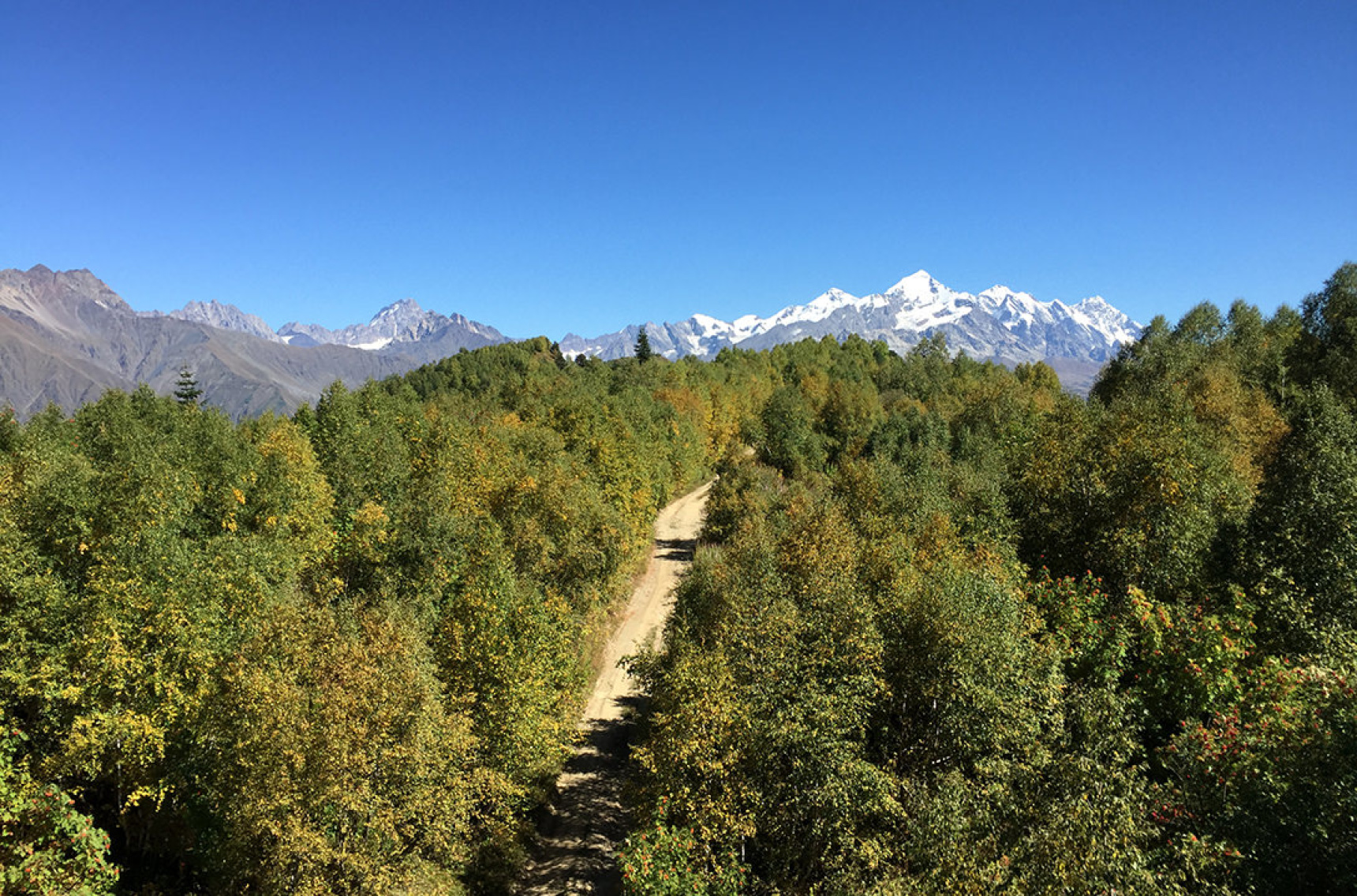 Гамарджоба, любимая Грузия! | Living in Travels