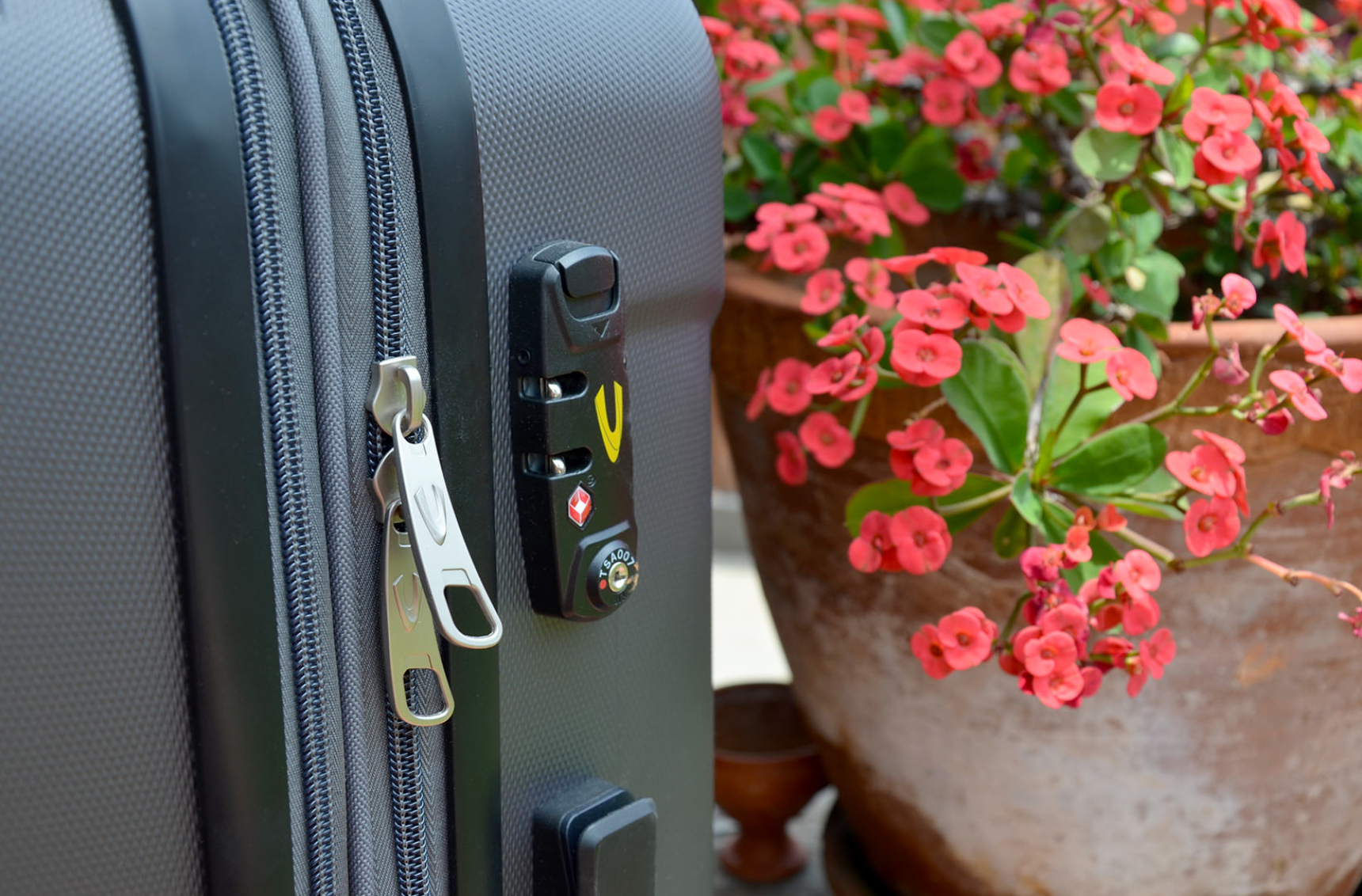 Покупка чемодана. Какой выбрать? | Living in Travels
